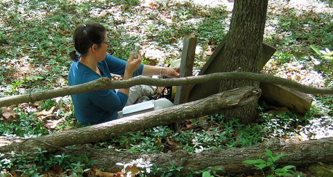 Projects – Dr. Lynn Rainville